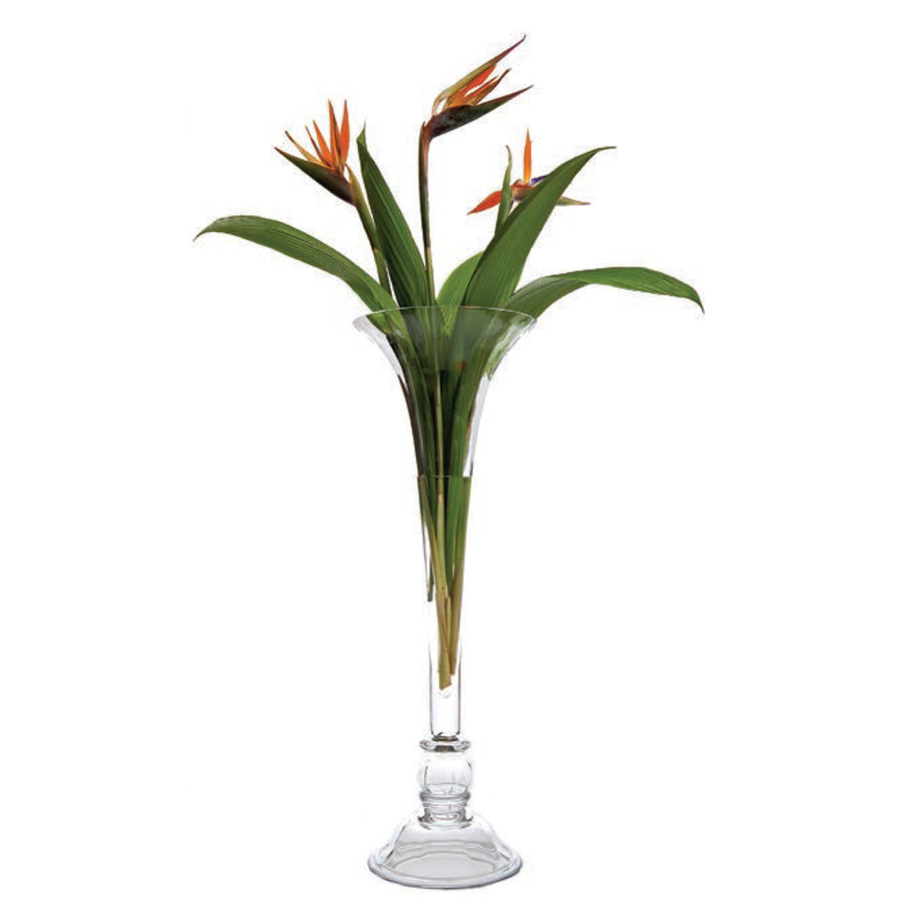 Classic Glass Vase, Paris Collection – Abigails
